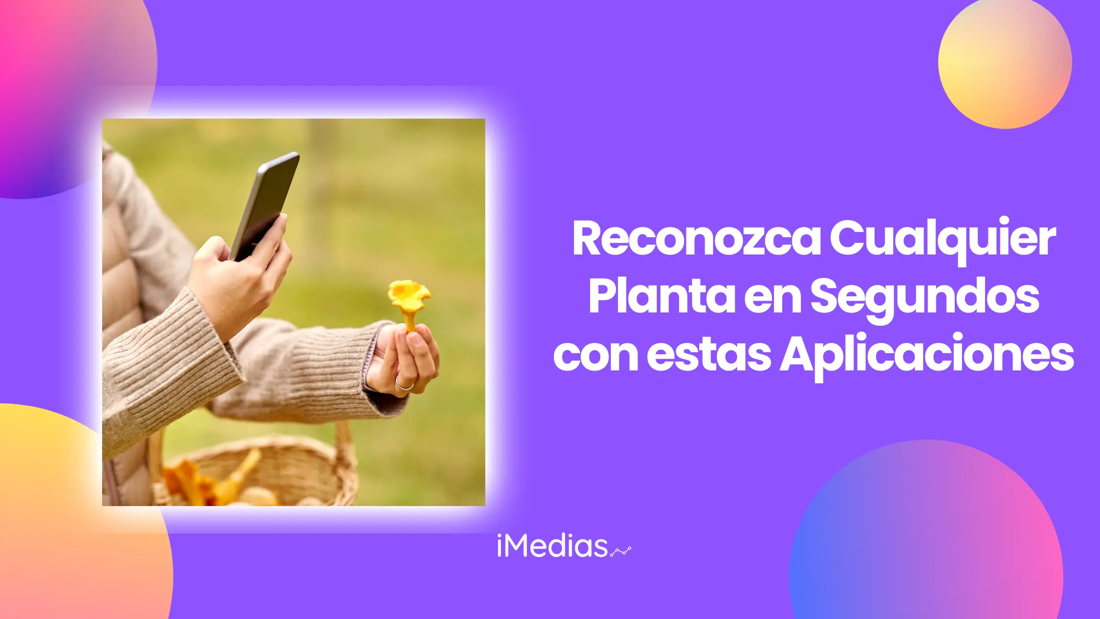 Reconozca Cualquier Planta en Segundos con estas Aplicaciones - iMedias