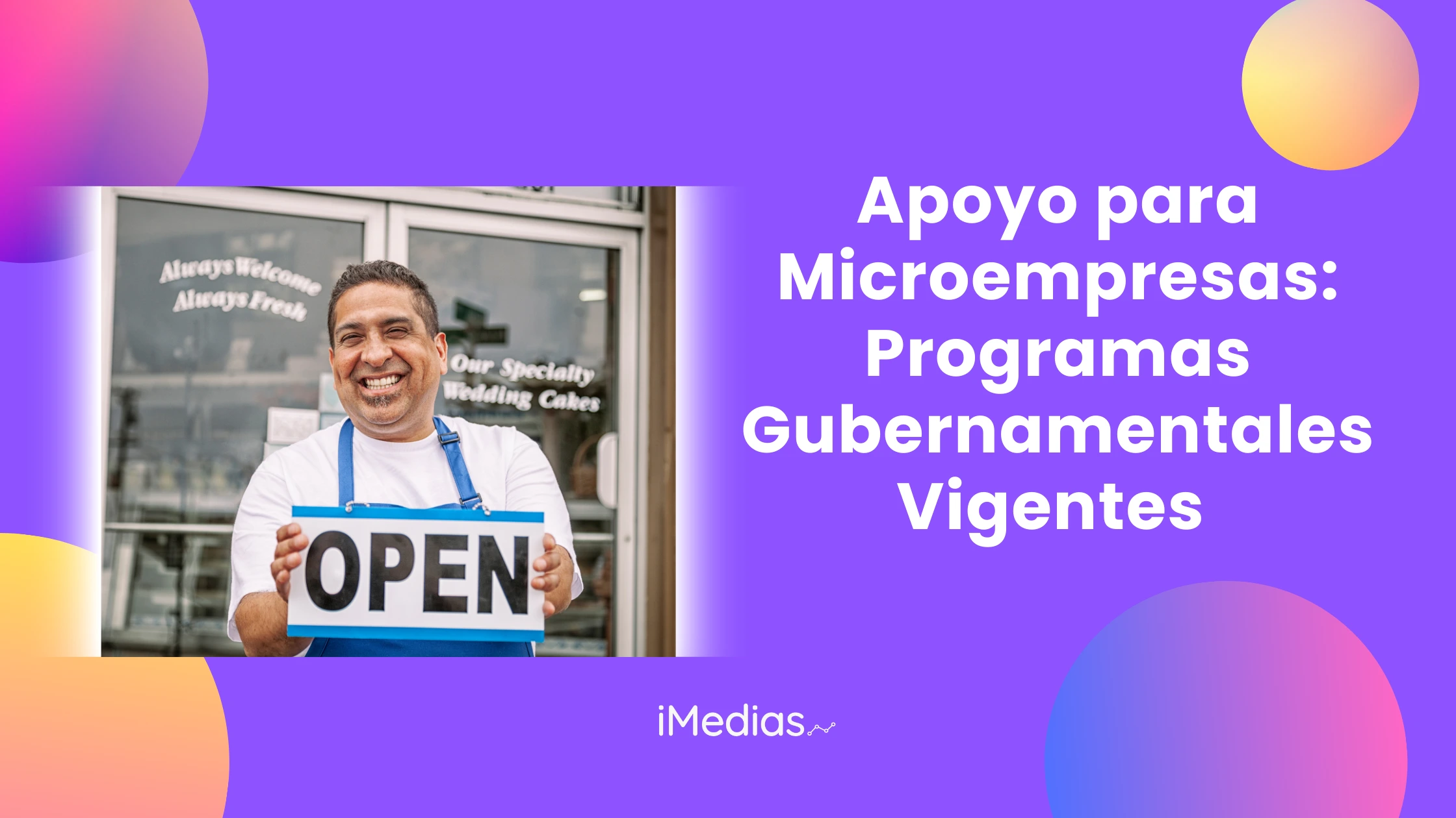 Apoyo para Microempresas: Programas Gubernamentales Vigentes en 2025 ...